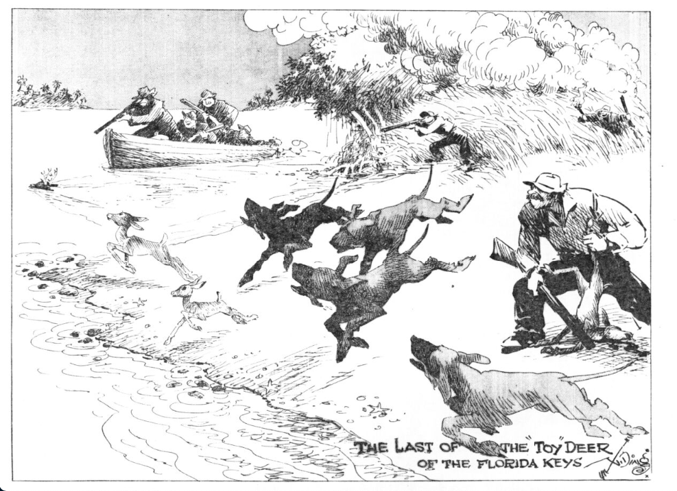 ‘Ding’ cartoon of the month - SANIBEL-CAPTIVA - Island Reporter ...